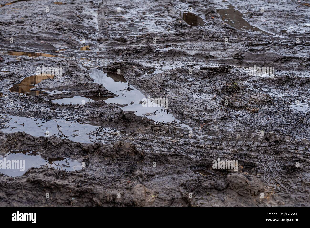 Swamp wheels hi-res stock photography and images - Alamy