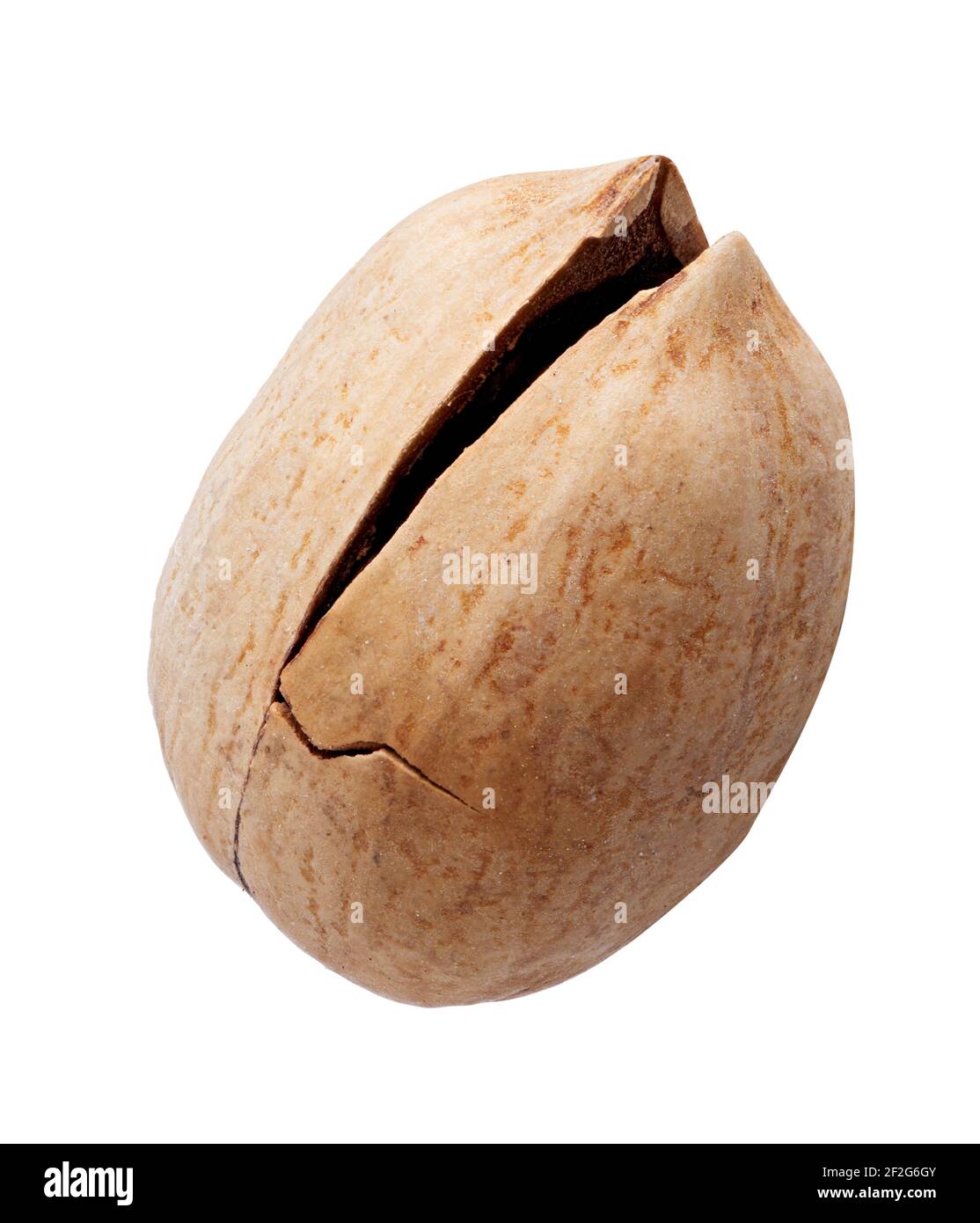 Pecan nut isolated on white background. Clipping path Stock Photo - Alamy