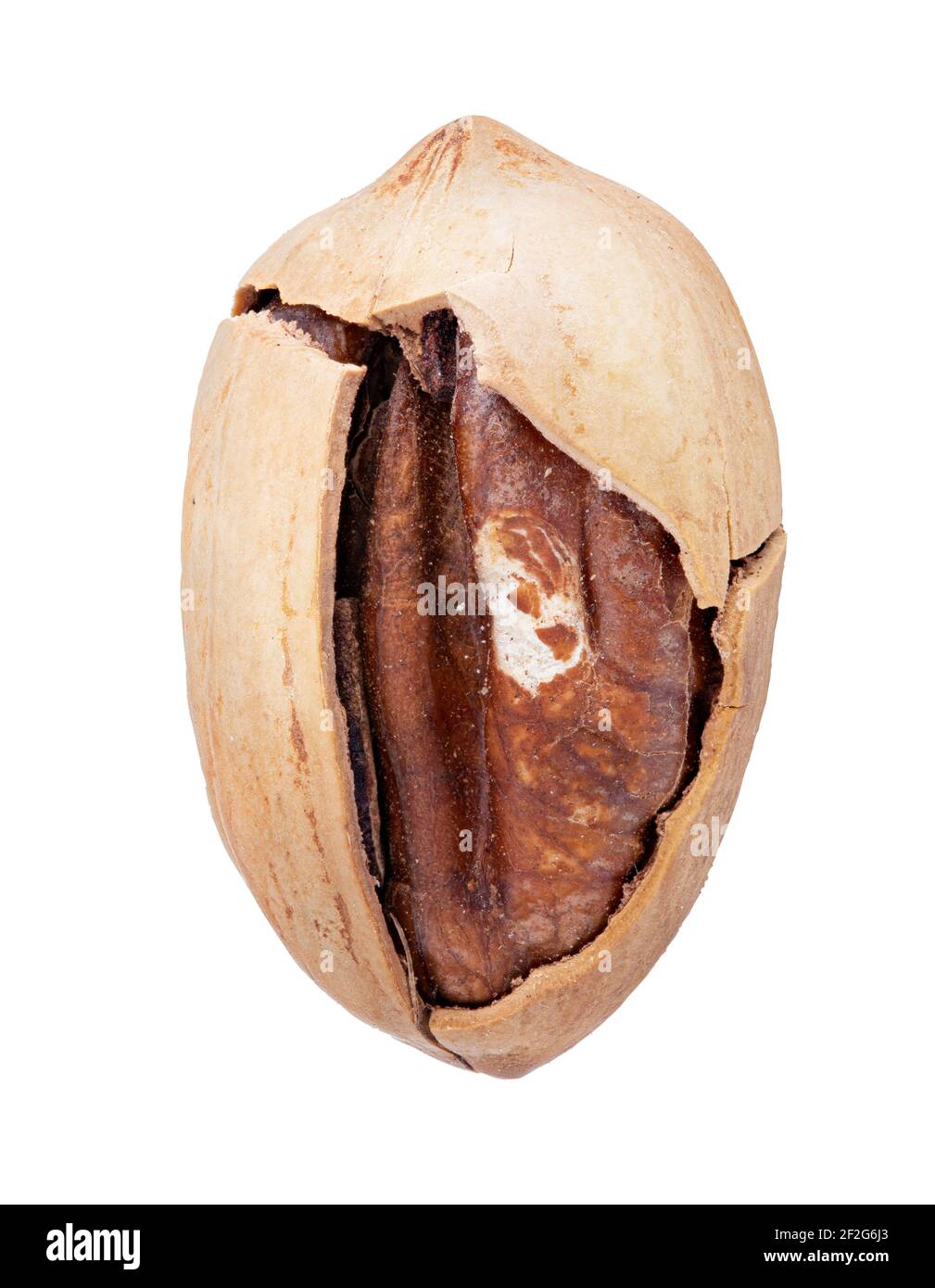 Pecan nut isolated on white background. Clipping path Stock Photo - Alamy