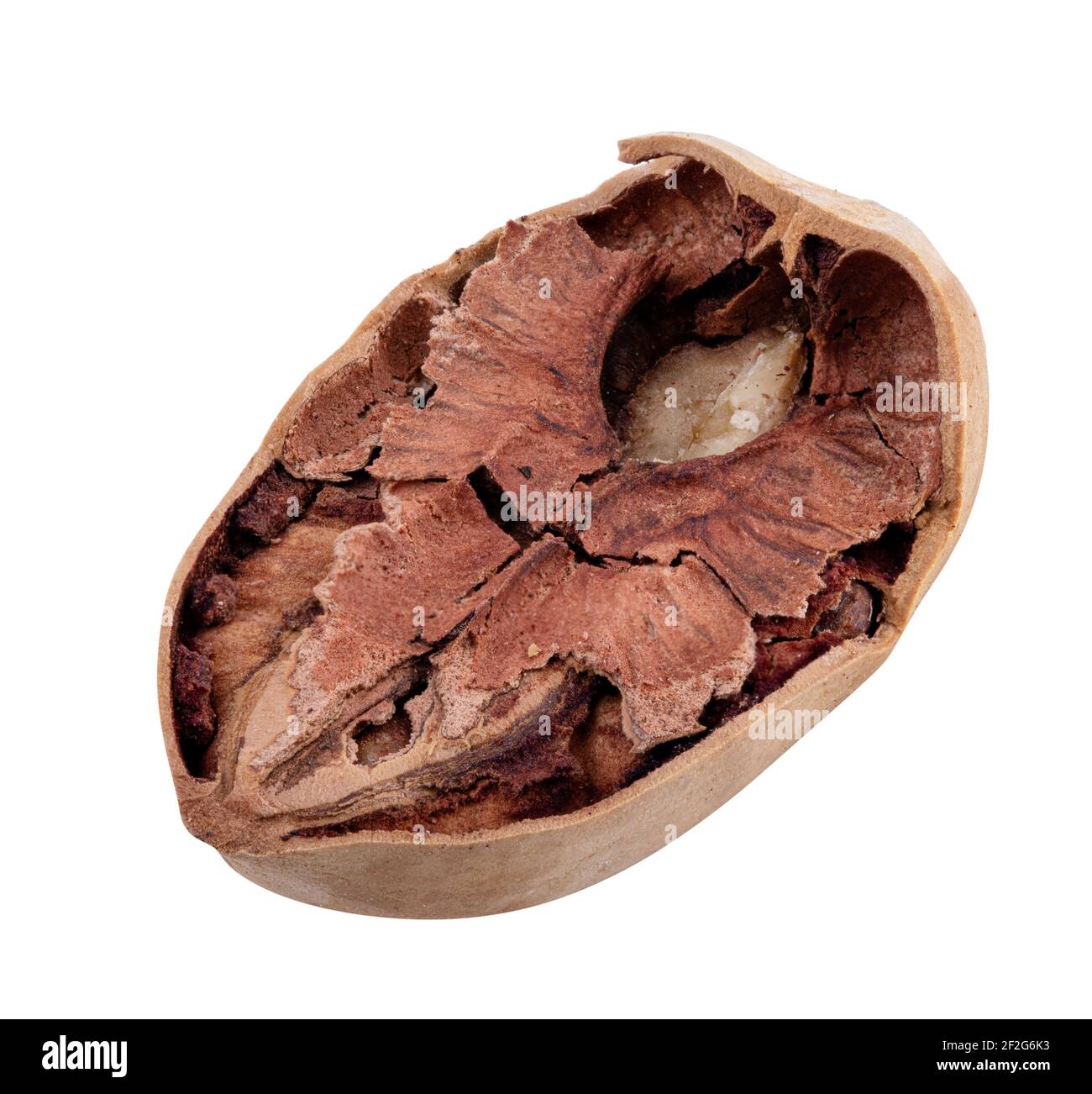 Pecan nut isolated on white background. Clipping path Stock Photo - Alamy