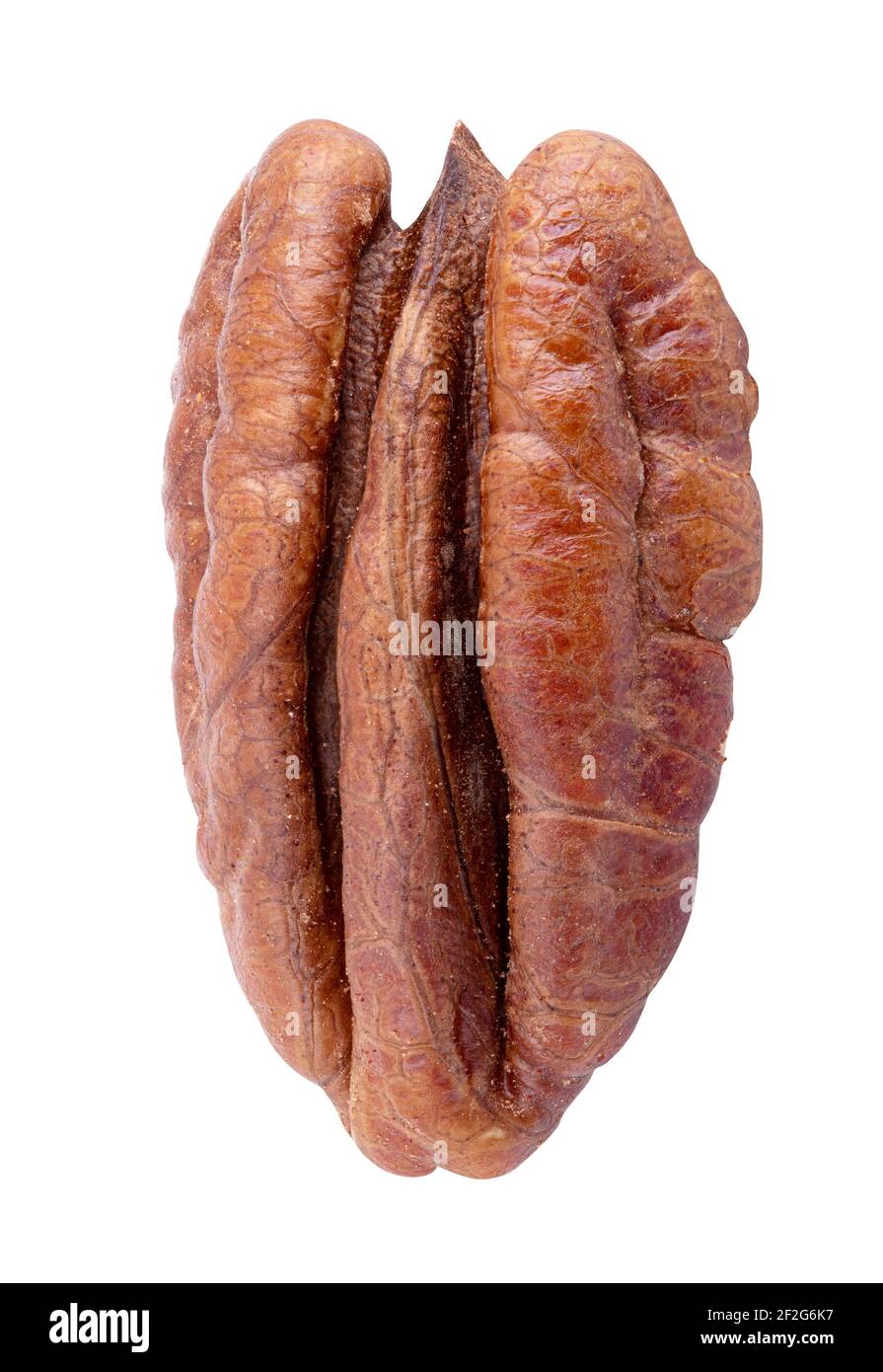 Pecan nut isolated on white background. Clipping path Stock Photo - Alamy