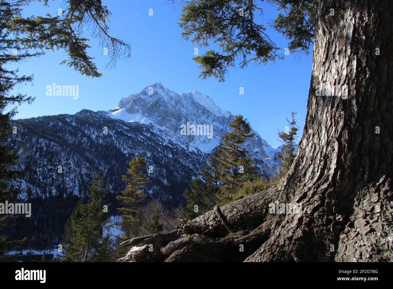 Winter hike in Mittenwald, Europe, Germany, Bavaria, Upper Bavaria ...