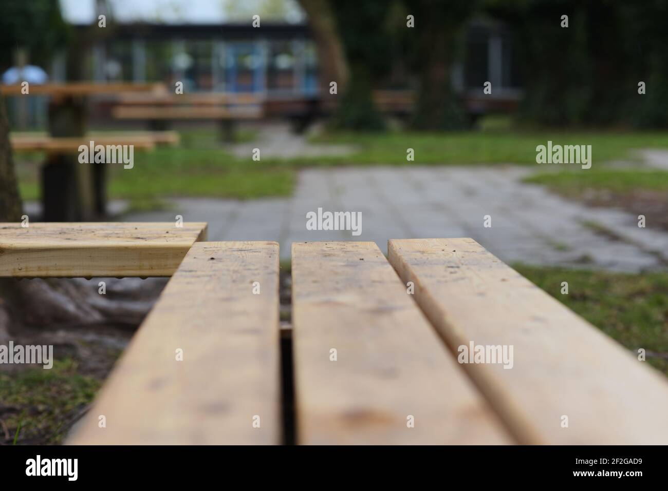 Closeup of dirty and wet bench in a schoolyard Stock Photo - Alamy