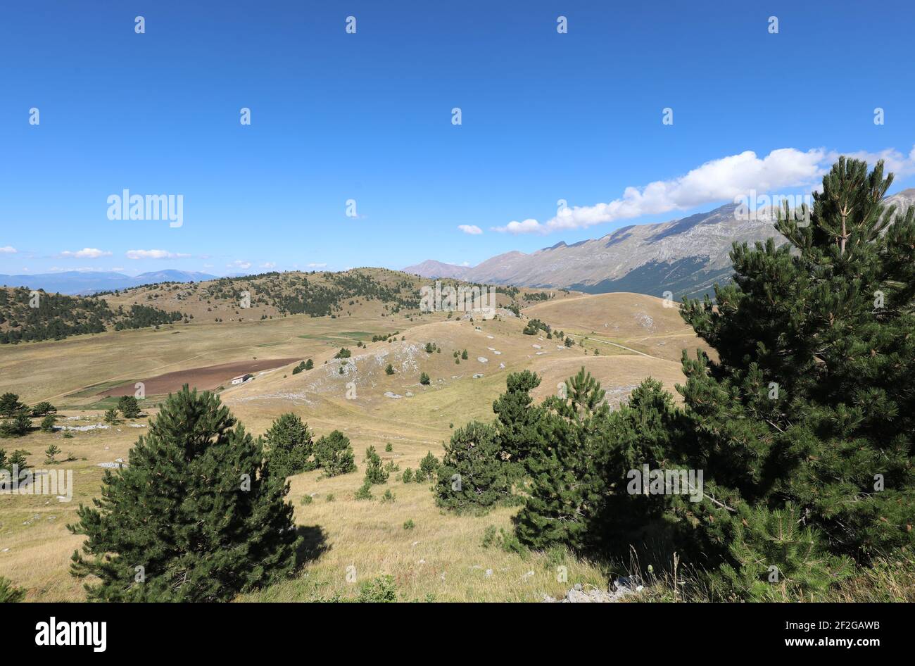 natural landscape with mountains and hill and hills vegetation without ...