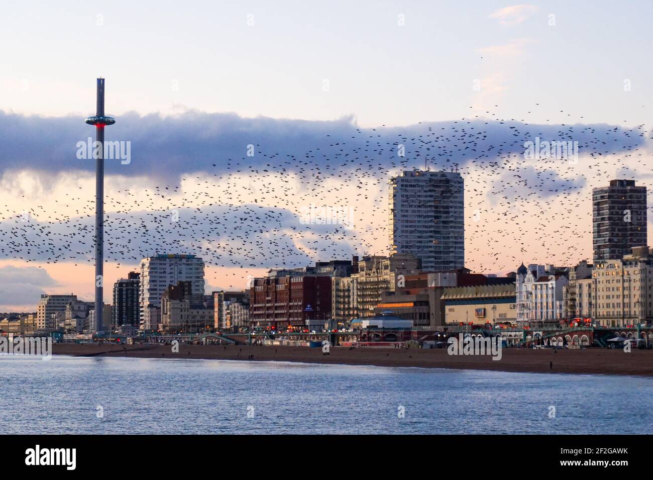 Brighton starling bird murmuration, view from pier, British Airways ...