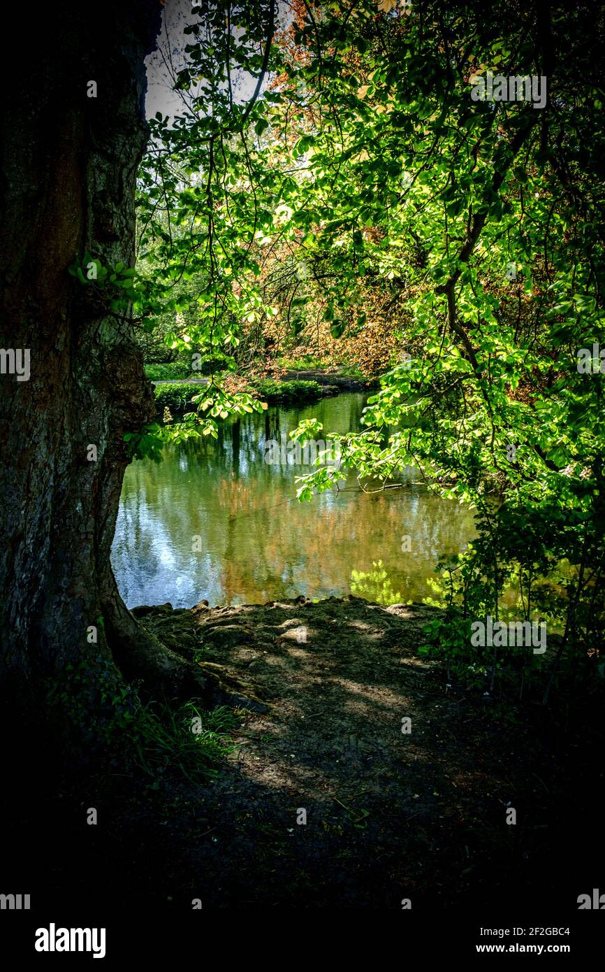 The River Brett in Springtime Stock Photo - Alamy