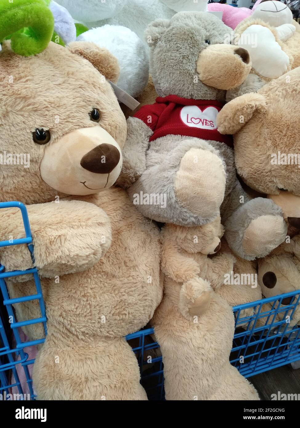Many teddy bears hi-res stock photography and images - Alamy