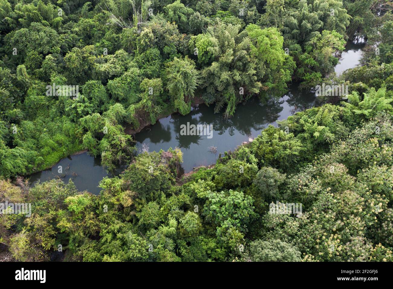 Aerial view of river in abundant tropical rainforest on natural park at ...