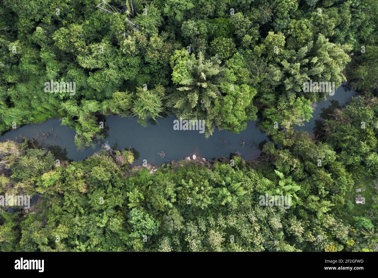 Aerial view of river in abundant tropical rainforest on natural park at ...