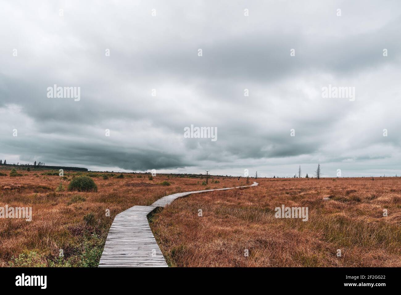 Landscape in the High Fens Nature Park in the Eifel, Belgium. Hike in ...