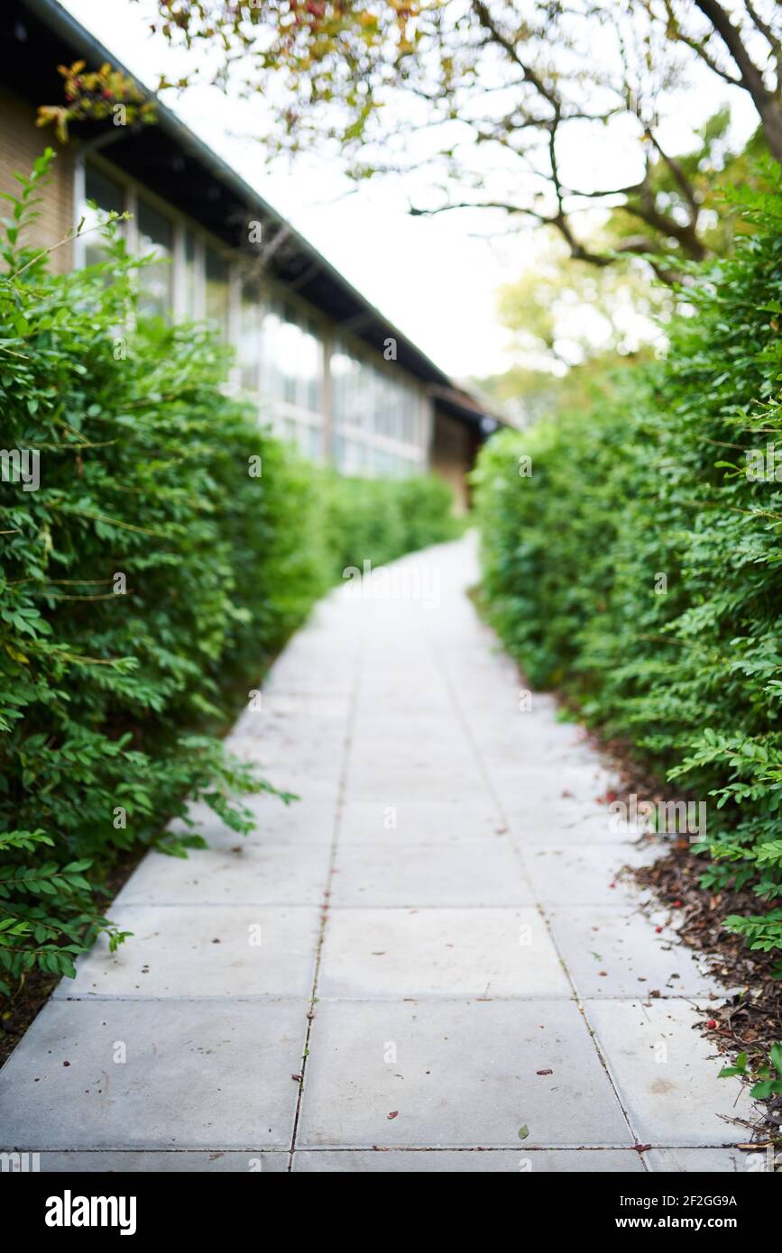 Hedge pathway hi-res stock photography and images - Alamy
