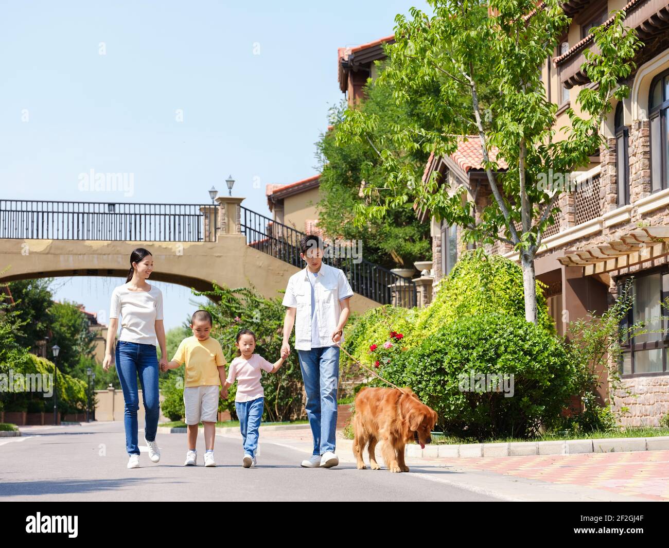 Chinese women walking dogs hi-res stock photography and images - Alamy