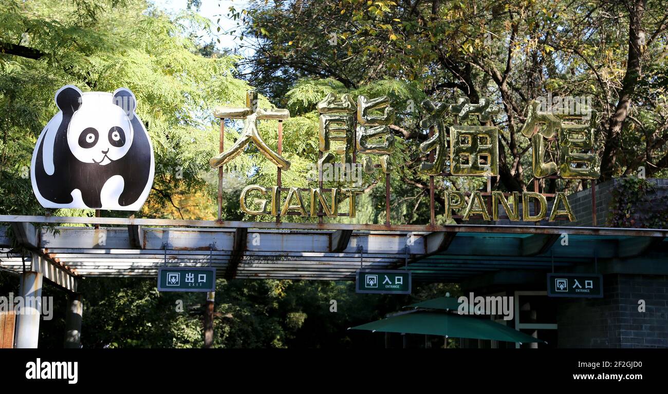 Entrance to the zoo, Beijing, China Stock Photo - Alamy