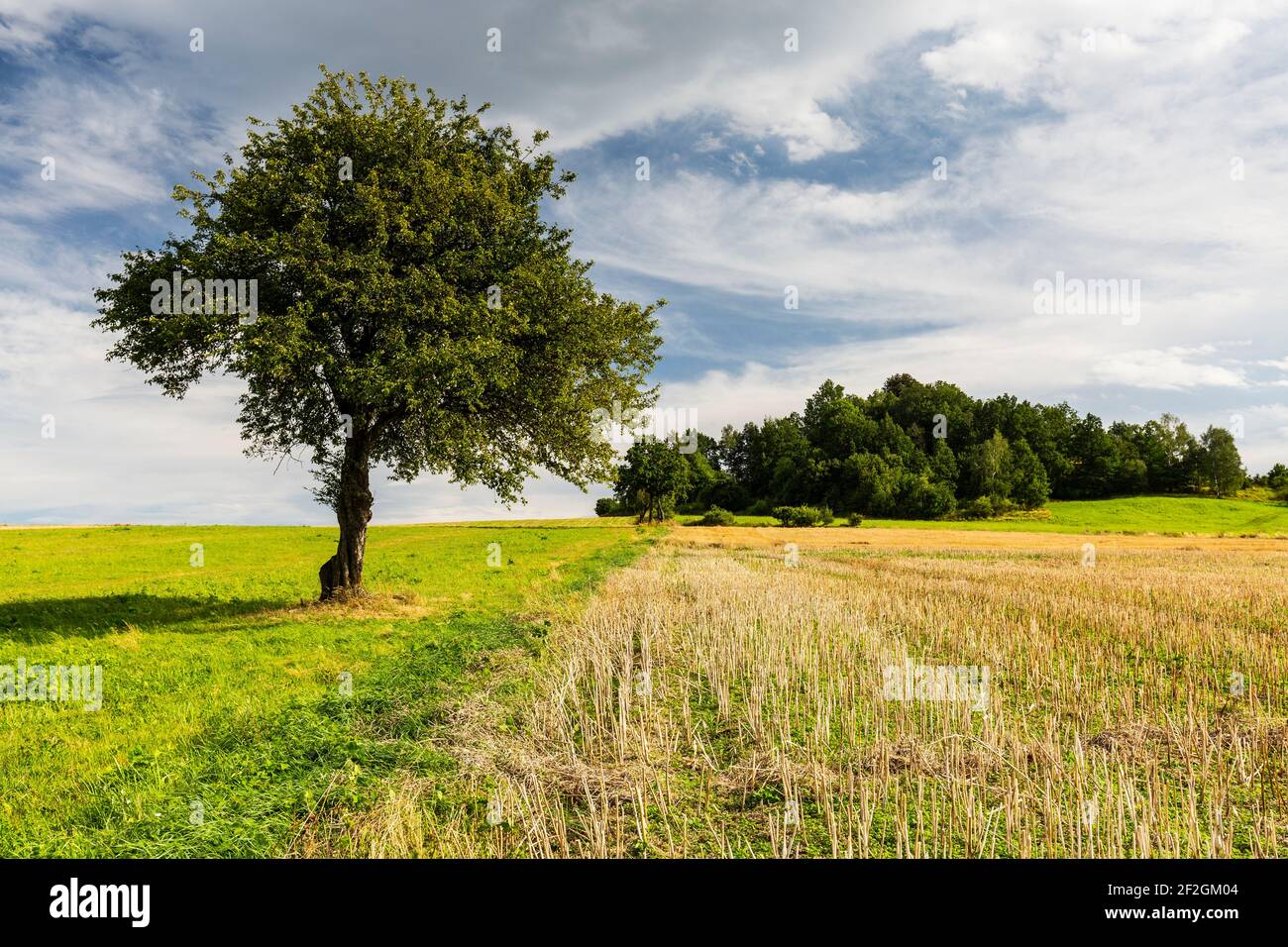 Europe, Poland, Lower Silesia, Czartowska Skala / Spitzberg - extinct ...