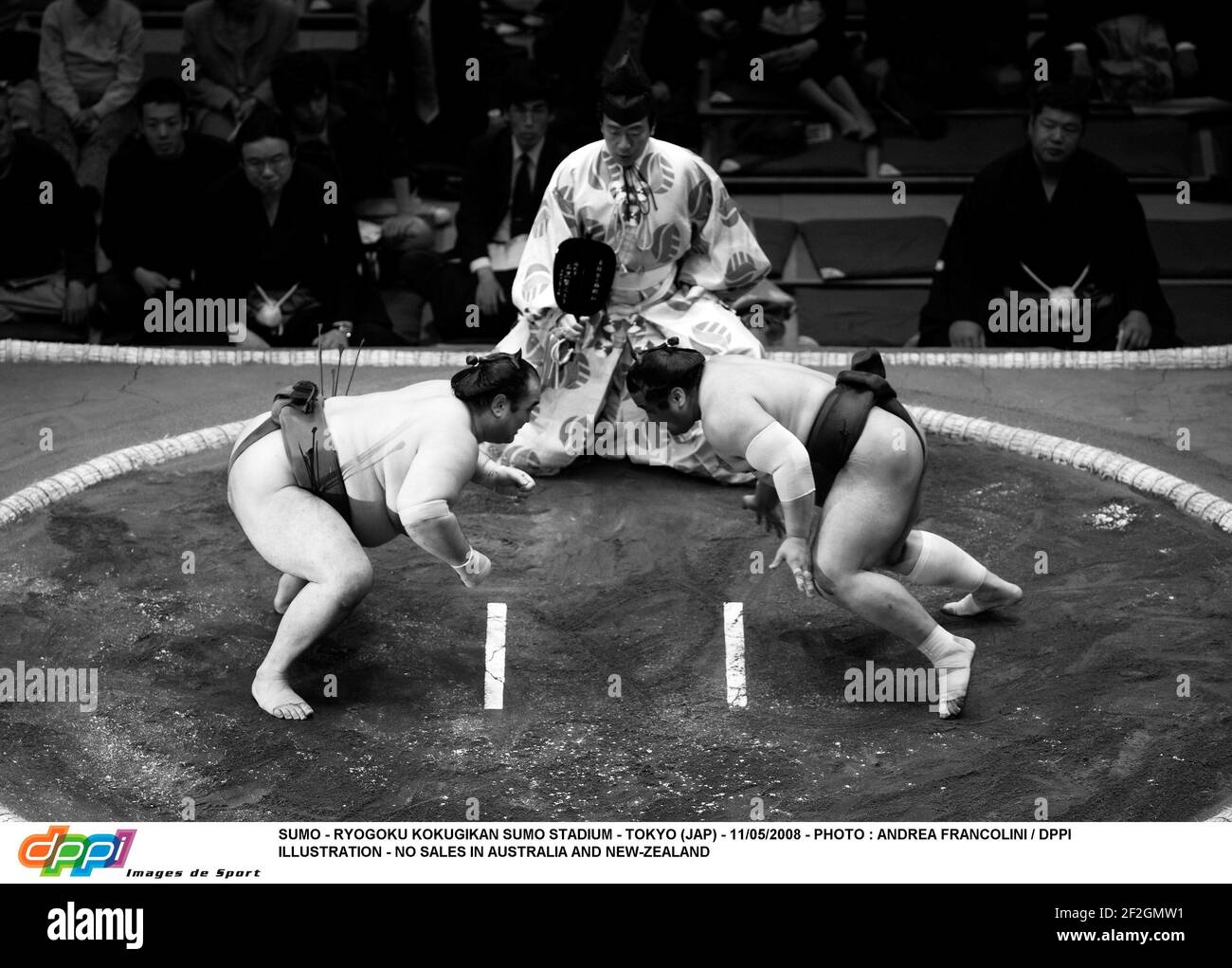 SUMO - RYOGOKU KOKUGIKAN SUMO STADIUM - TOKYO (JAP) - 11/05/2008 ...