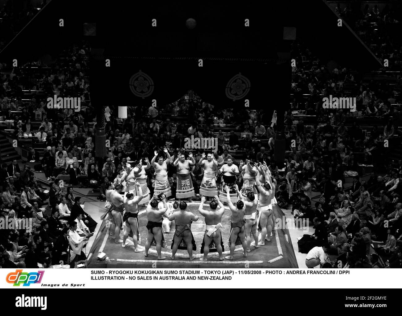 SUMO - RYOGOKU KOKUGIKAN SUMO STADIUM - TOKYO (JAP) - 11/05/2008 ...