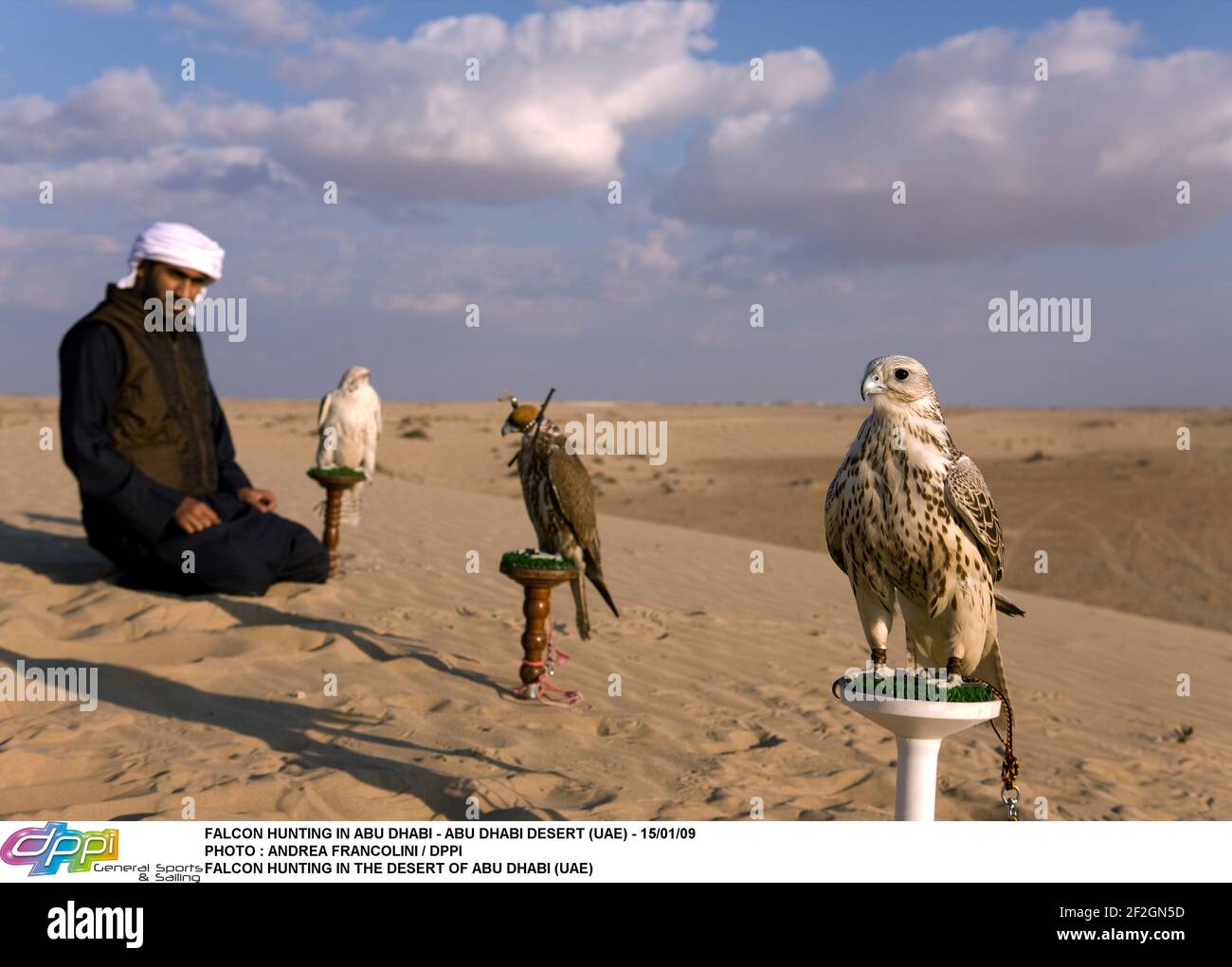 FALCON HUNTING IN ABU DHABI - ABU DHABI DESERT (UAE) - 15/01/09 PHOTO ...