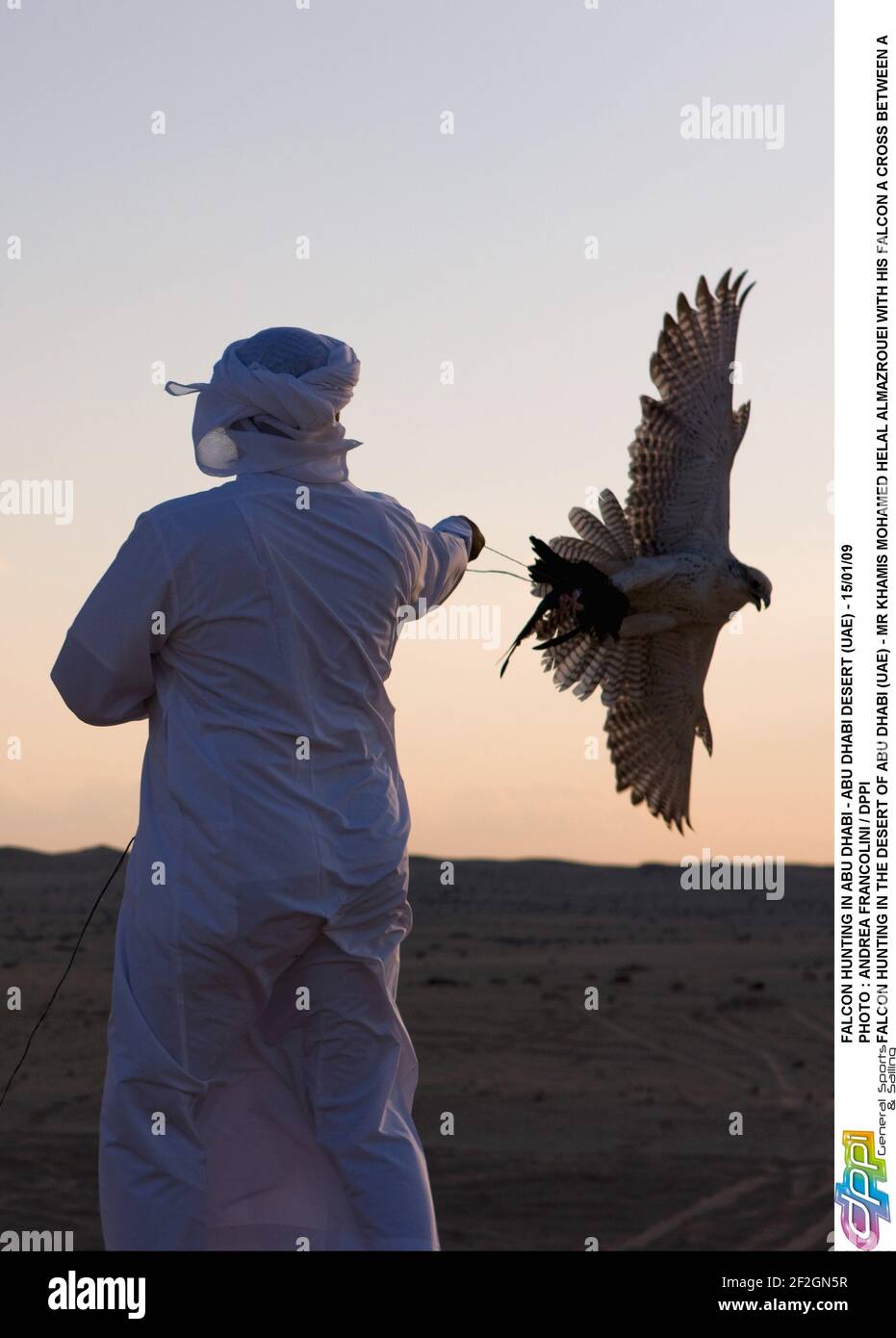 FALCON HUNTING IN ABU DHABI - ABU DHABI DESERT (UAE) - 15/01/09 PHOTO ...
