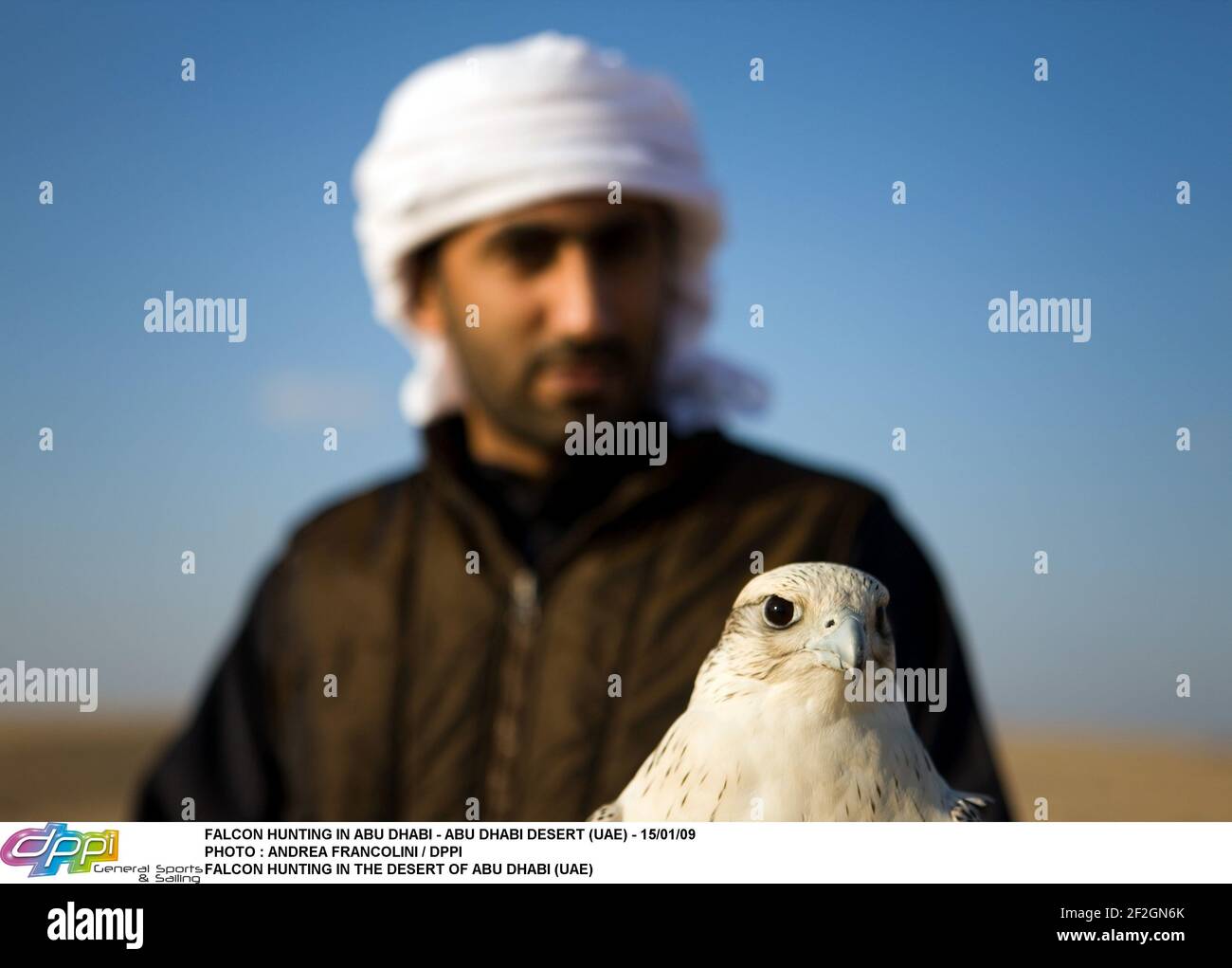 FALCON HUNTING IN ABU DHABI - ABU DHABI DESERT (UAE) - 15/01/09 PHOTO ...