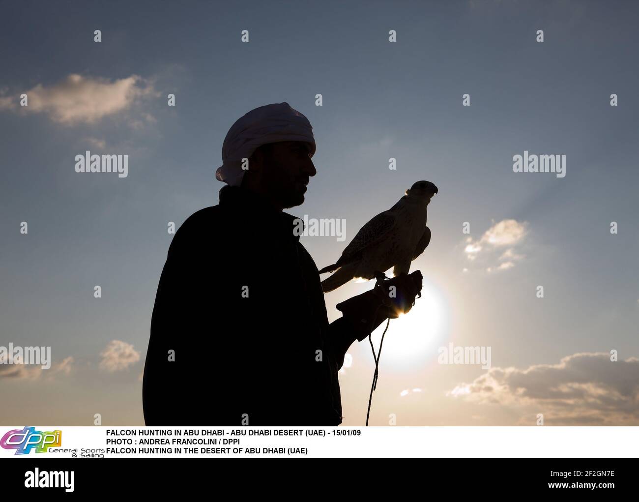 FALCON HUNTING IN ABU DHABI - ABU DHABI DESERT (UAE) - 15/01/09 PHOTO ...
