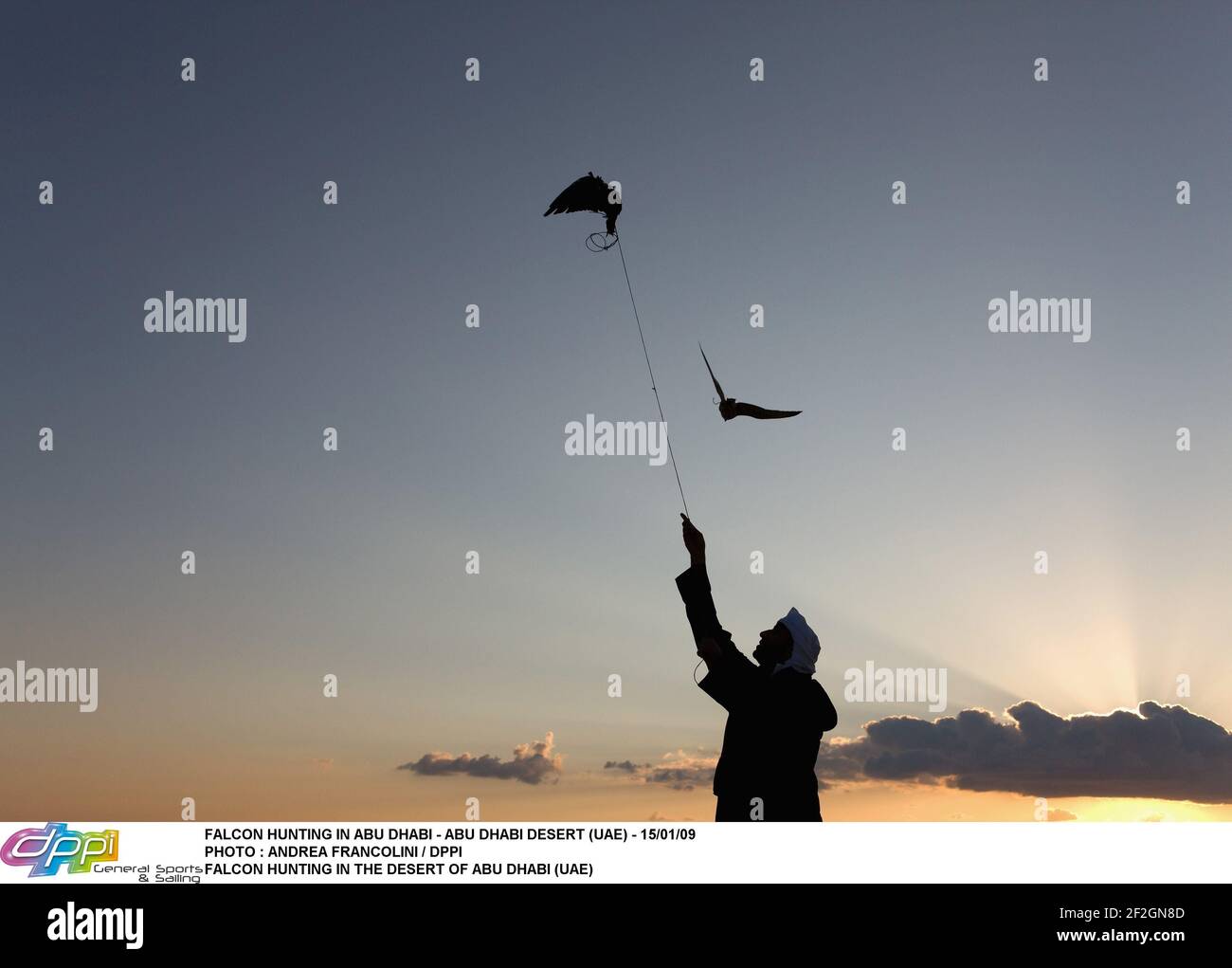 FALCON HUNTING IN ABU DHABI - ABU DHABI DESERT (UAE) - 15/01/09 PHOTO ...