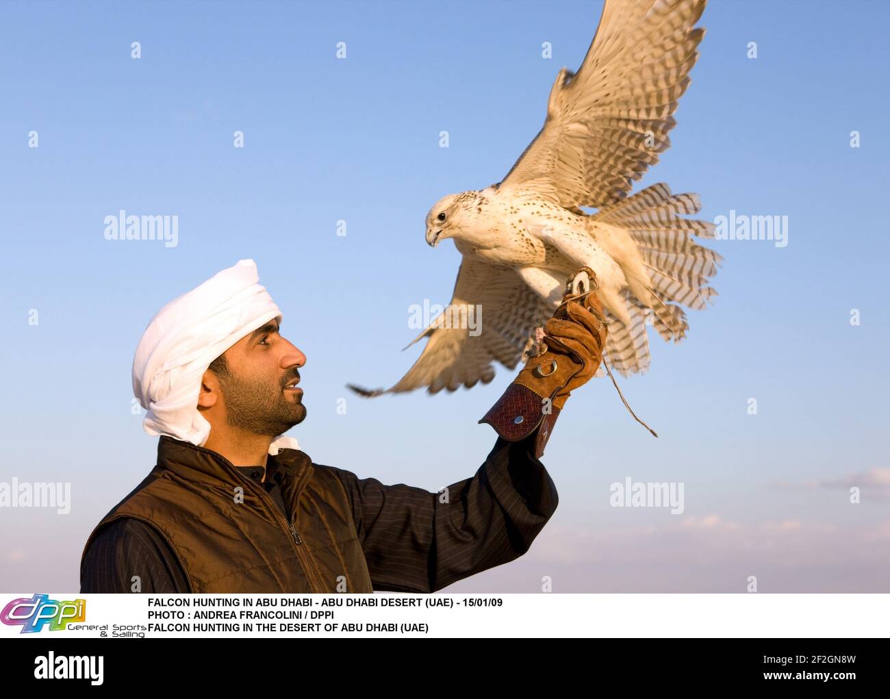FALCON HUNTING IN ABU DHABI - ABU DHABI DESERT (UAE) - 15/01/09 PHOTO ...