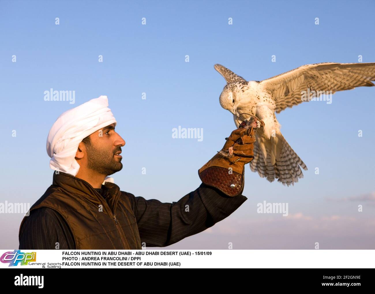 FALCON HUNTING IN ABU DHABI - ABU DHABI DESERT (UAE) - 15/01/09 PHOTO ...