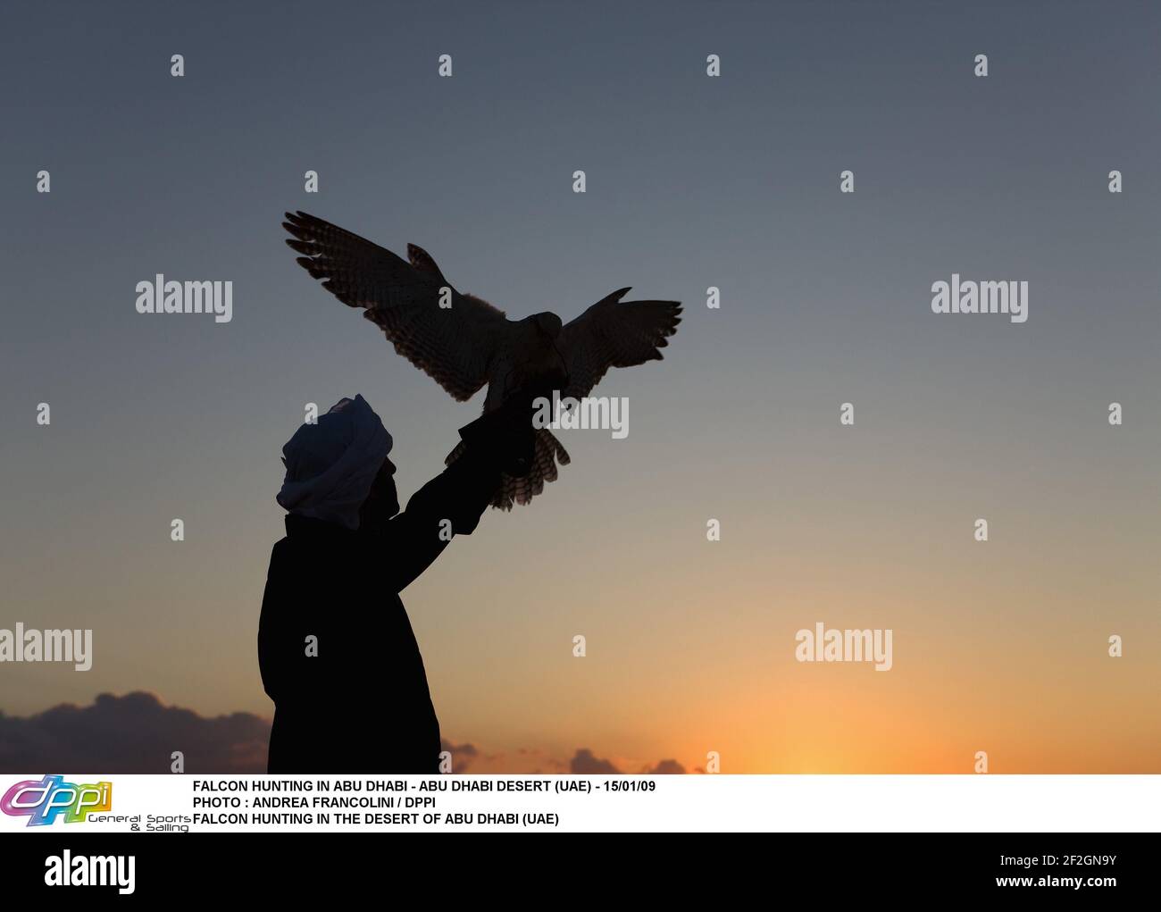 FALCON HUNTING IN ABU DHABI - ABU DHABI DESERT (UAE) - 15/01/09 PHOTO ...