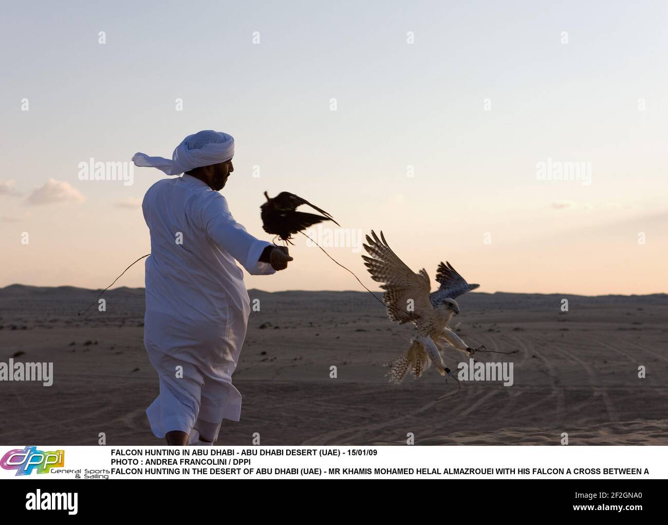 FALCON HUNTING IN ABU DHABI - ABU DHABI DESERT (UAE) - 15/01/09 PHOTO ...