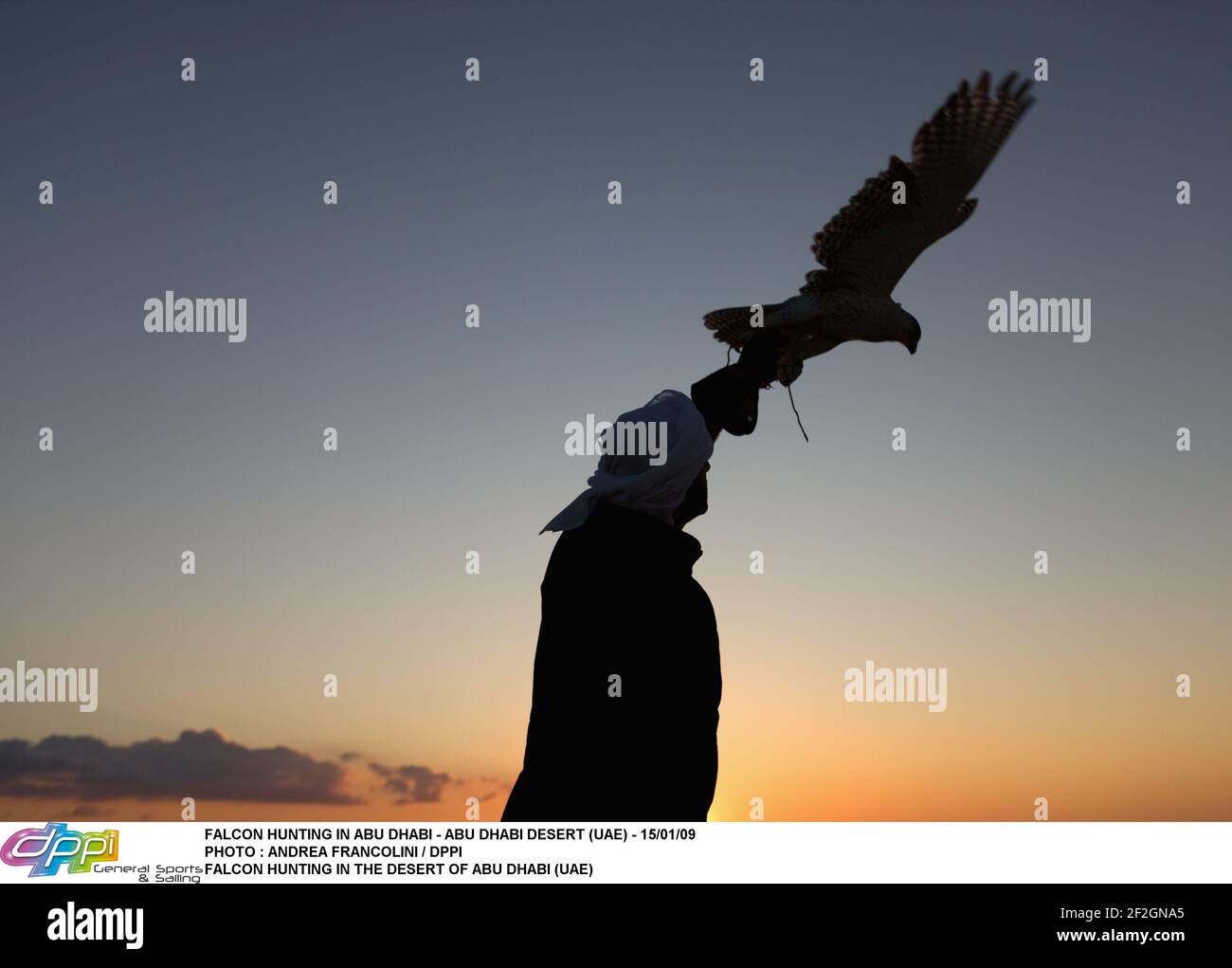 FALCON HUNTING IN ABU DHABI - ABU DHABI DESERT (UAE) - 15/01/09 PHOTO ...