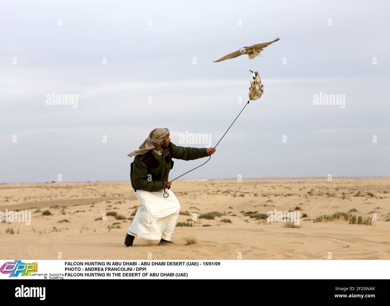 FALCON HUNTING IN ABU DHABI - ABU DHABI DESERT (UAE) - 15/01/09 PHOTO ...