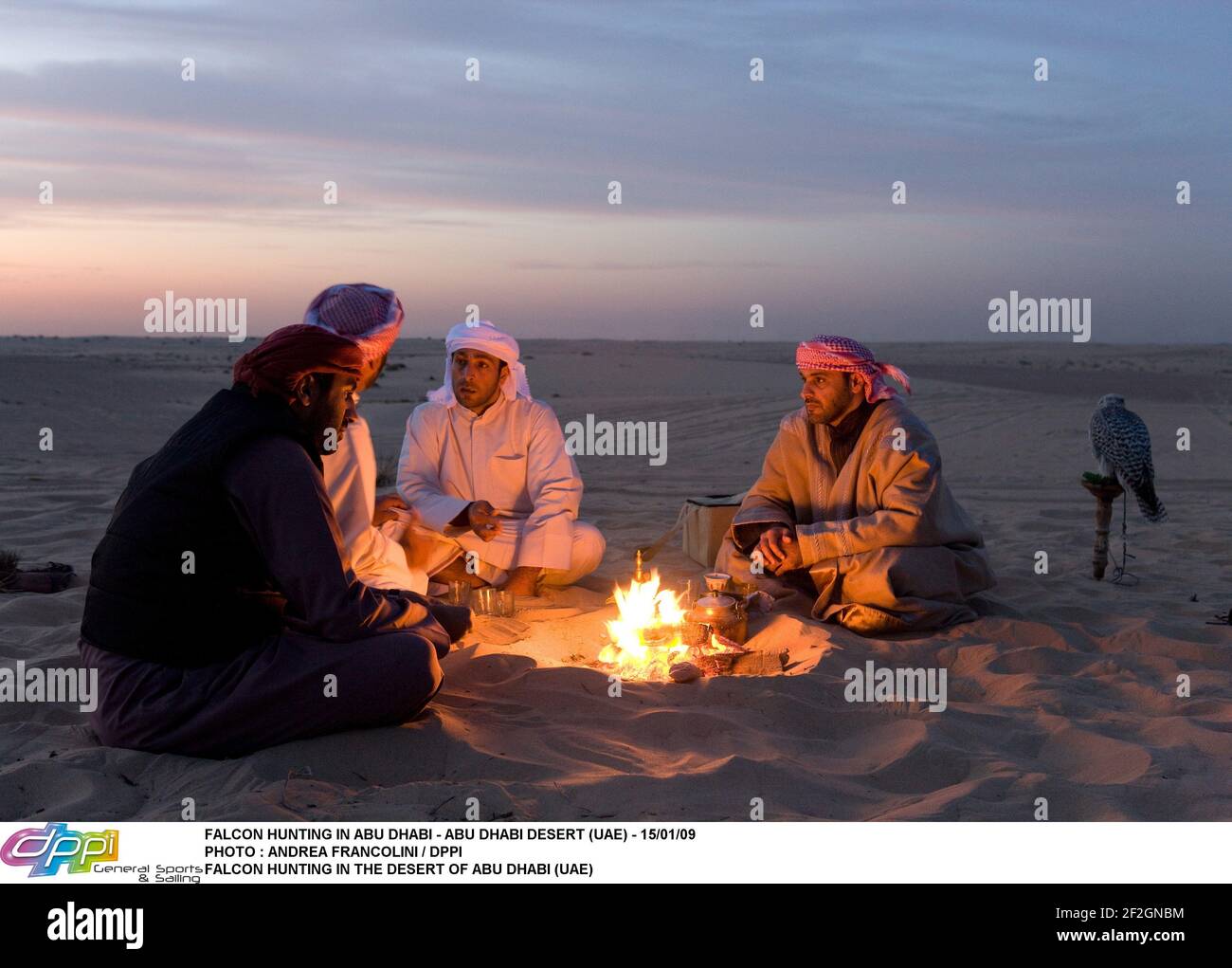 FALCON HUNTING IN ABU DHABI - ABU DHABI DESERT (UAE) - 15/01/09 PHOTO ...