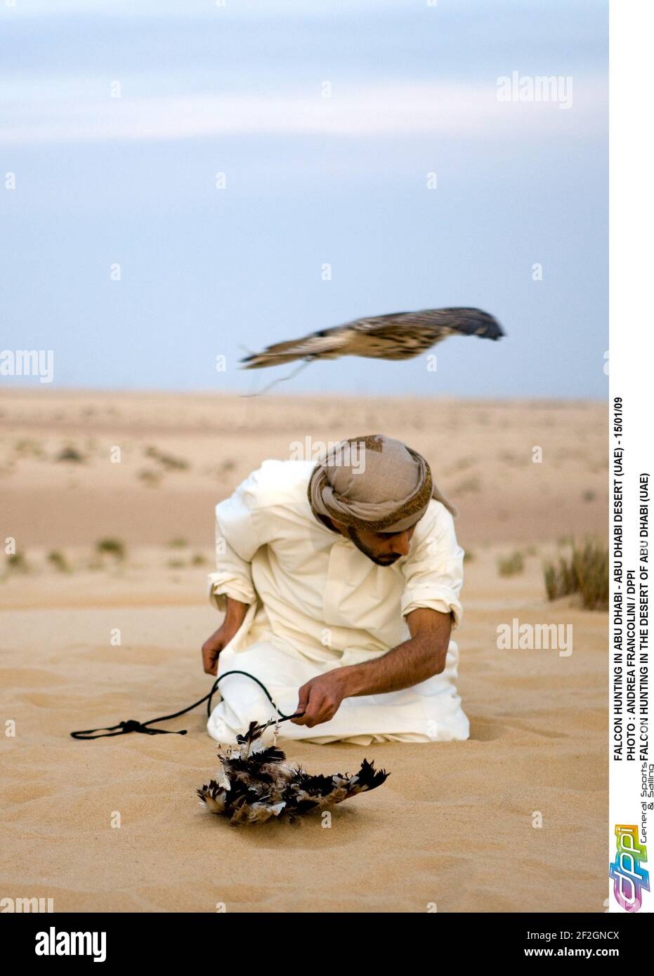 FALCON HUNTING IN ABU DHABI - ABU DHABI DESERT (UAE) - 15/01/09 PHOTO ...