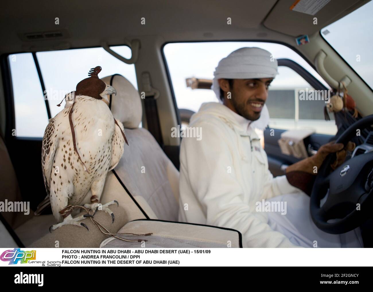 FALCON HUNTING IN ABU DHABI - ABU DHABI DESERT (UAE) - 15/01/09 PHOTO ...