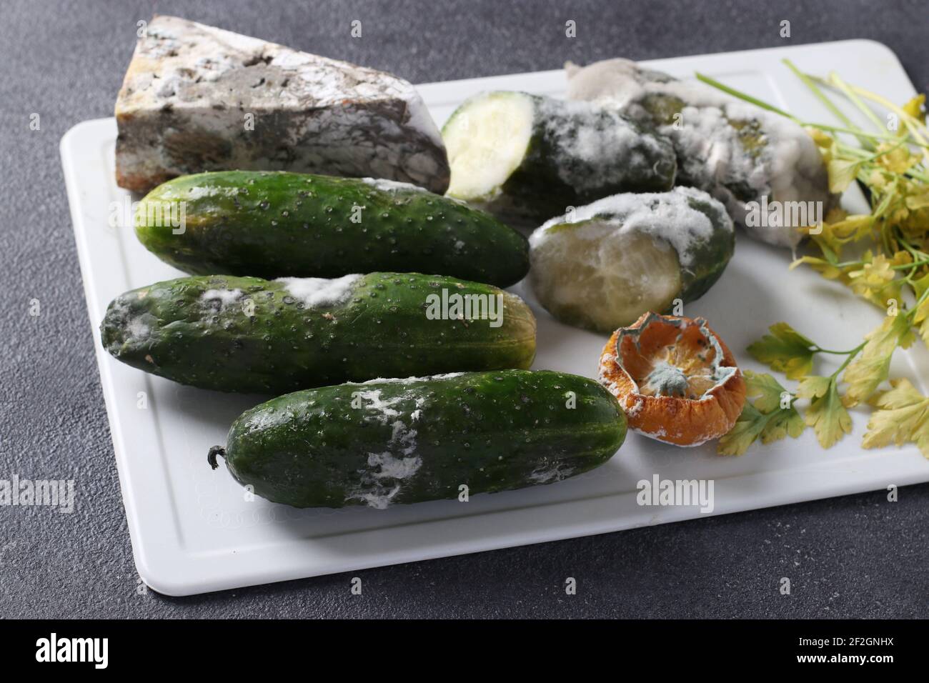 Rotten cheese hi-res stock photography and images - Alamy