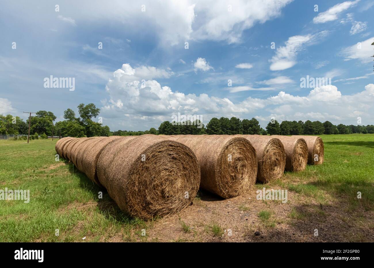 Hay bale bales haystack haystacks hi-res stock photography and images ...
