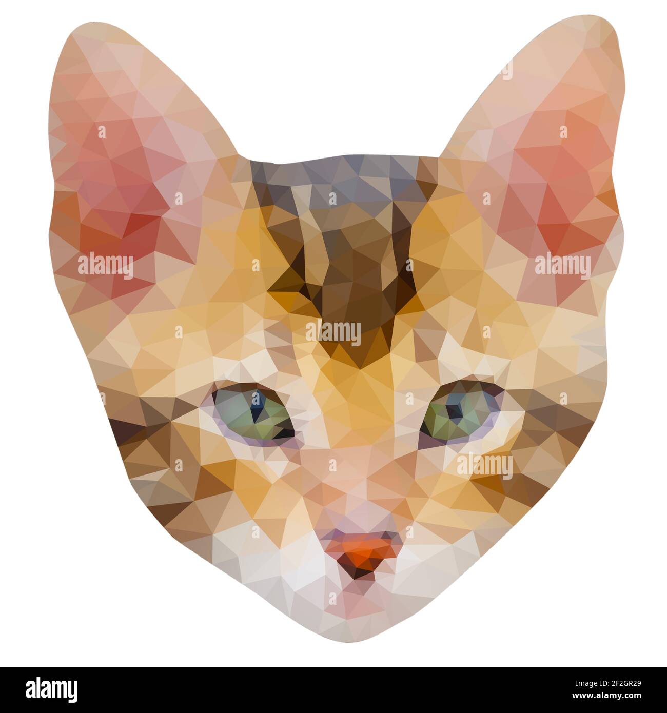 The face of a Bengal cat from polygons. Isolated white background ...