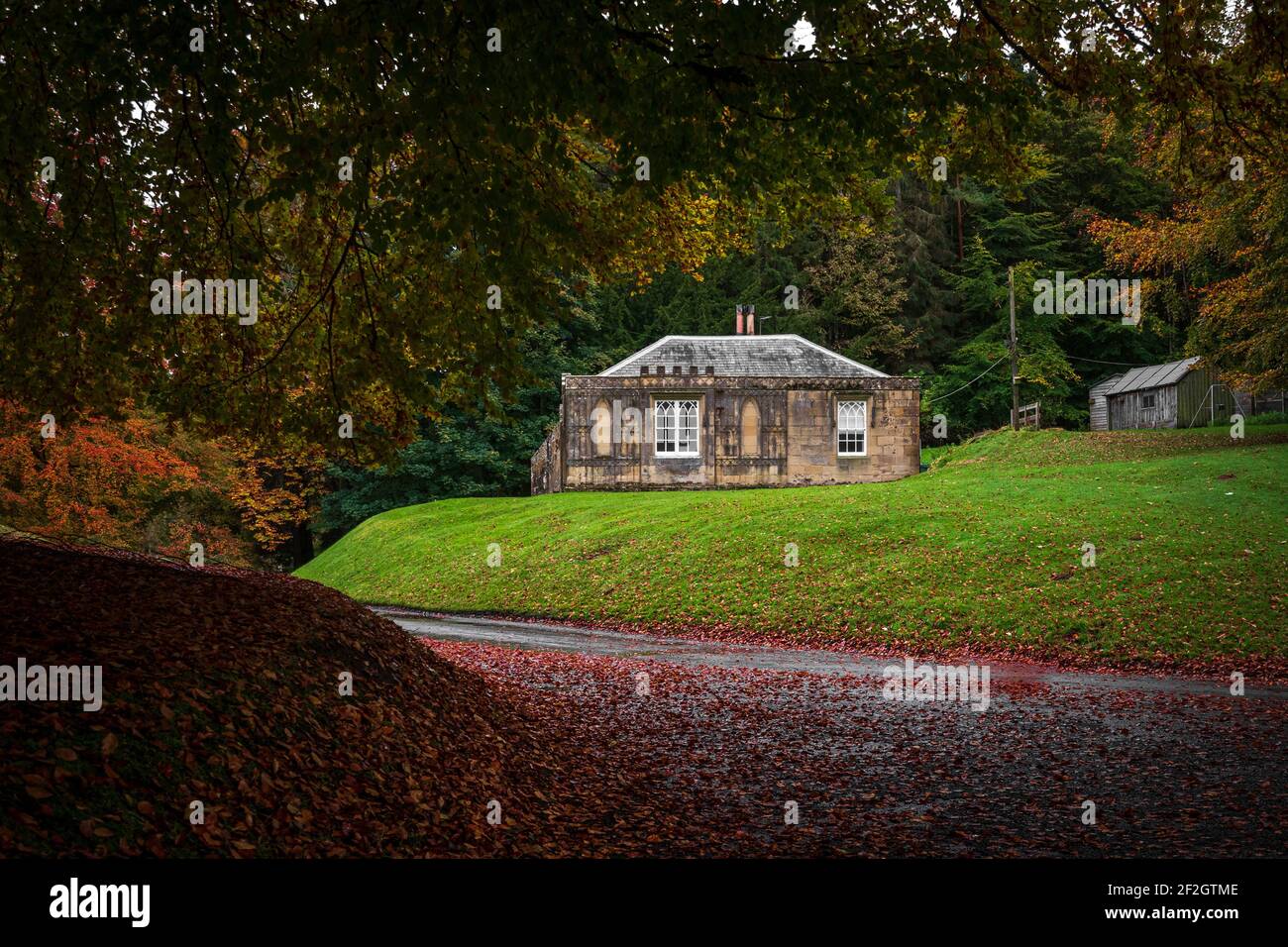 Autumn in Hulne Park, Alnwick, Northumberland Stock Photo - Alamy