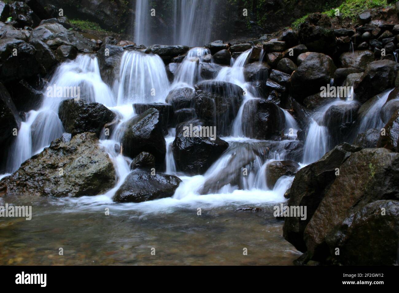 beautiful clear river flow in tropical forest Stock Photo - Alamy