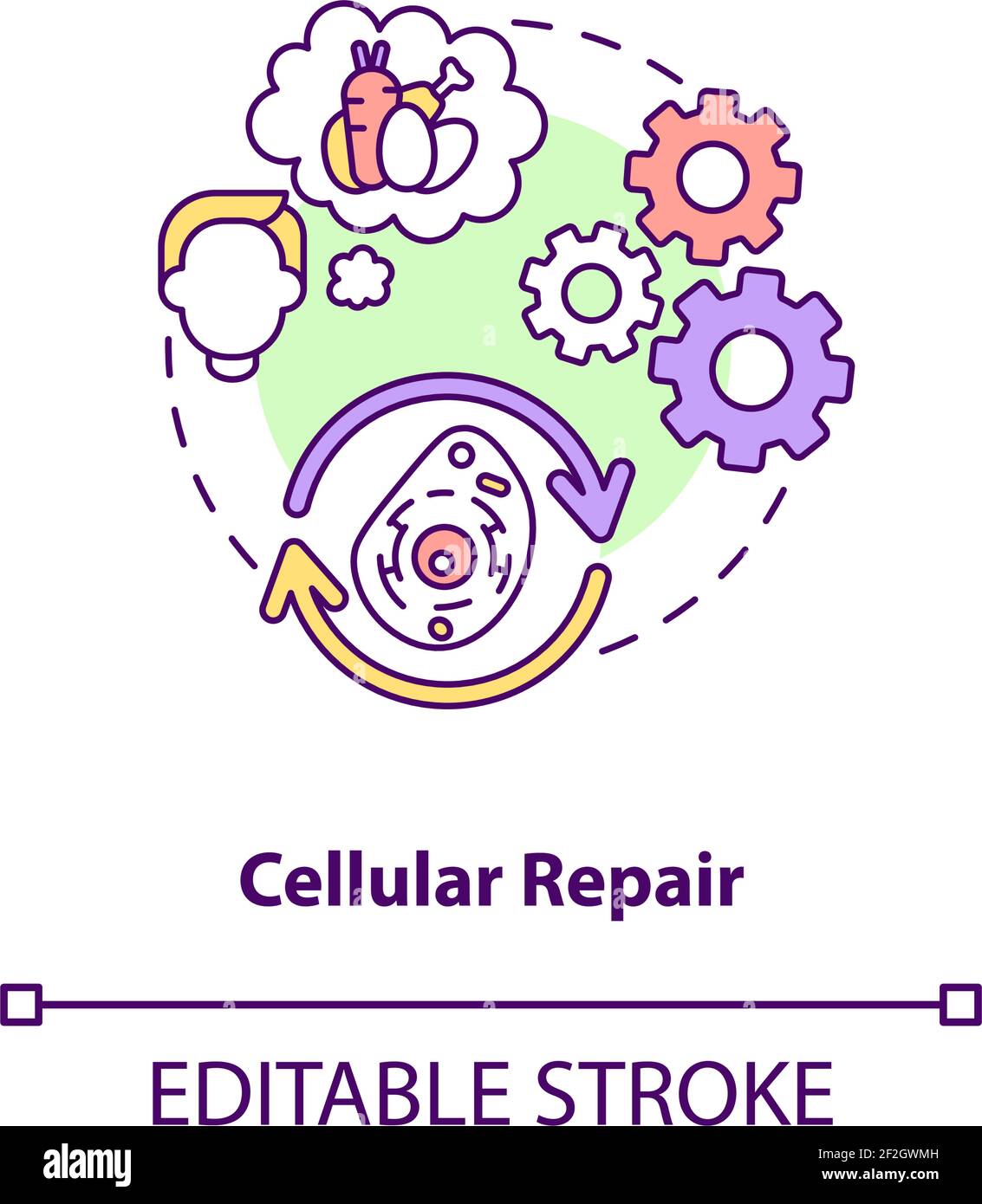 Cellular repair concept icon Stock Vector Image & Art - Alamy