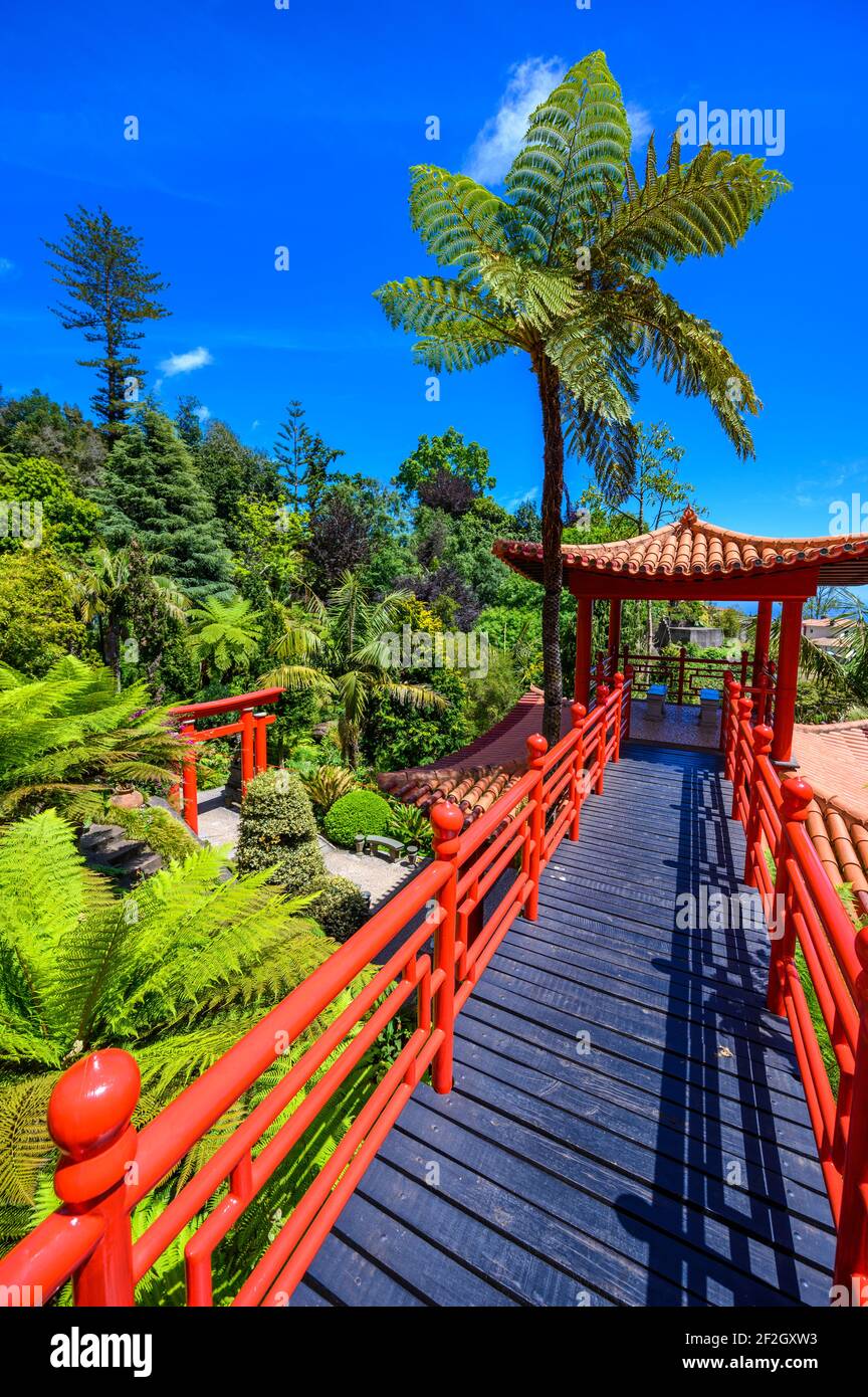 Monte Palace - Tropical Garden with Waterfalls, Lakes and traditional ...