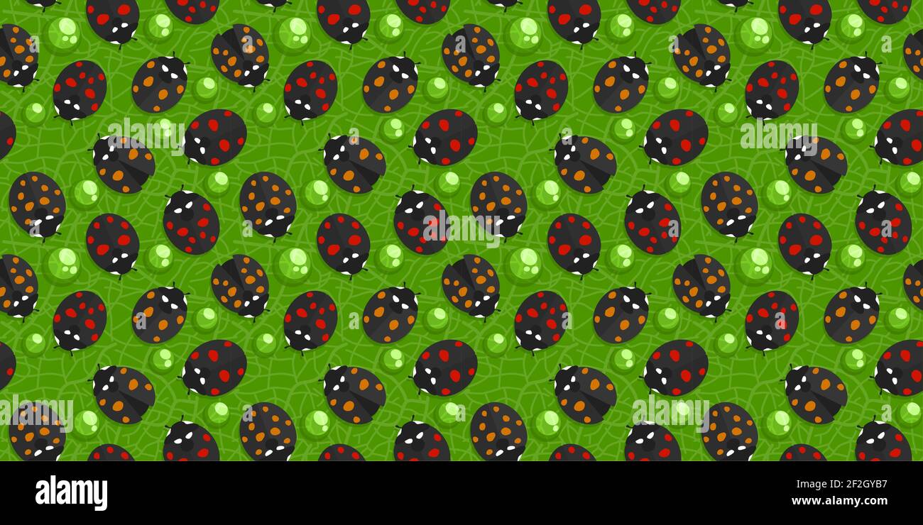 Spring Or Summer Seamless Pattern Background With Black Ladybugs And ...