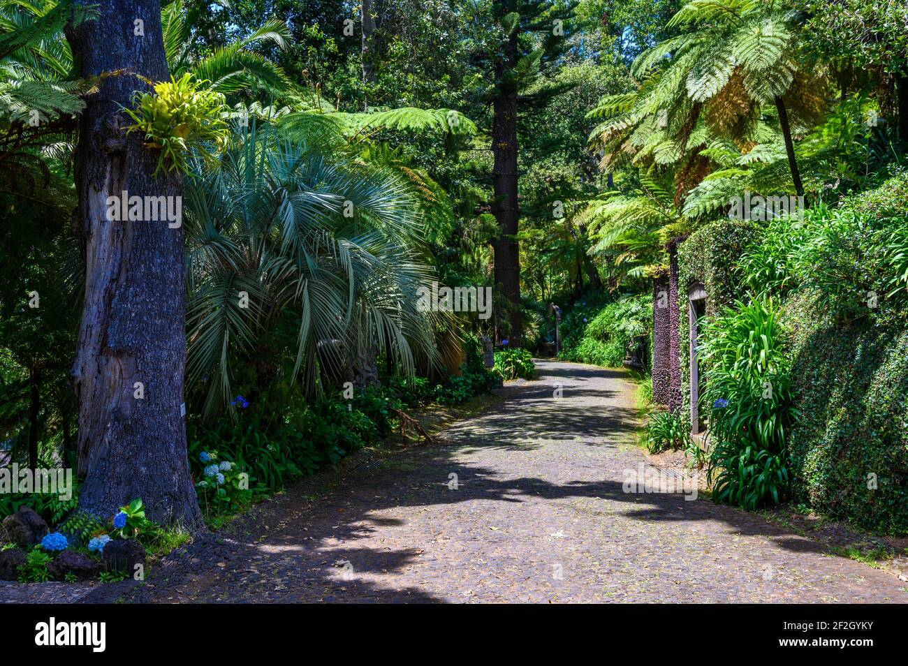 Monte Palace - Tropical Garden with Waterfalls, Lakes and traditional ...