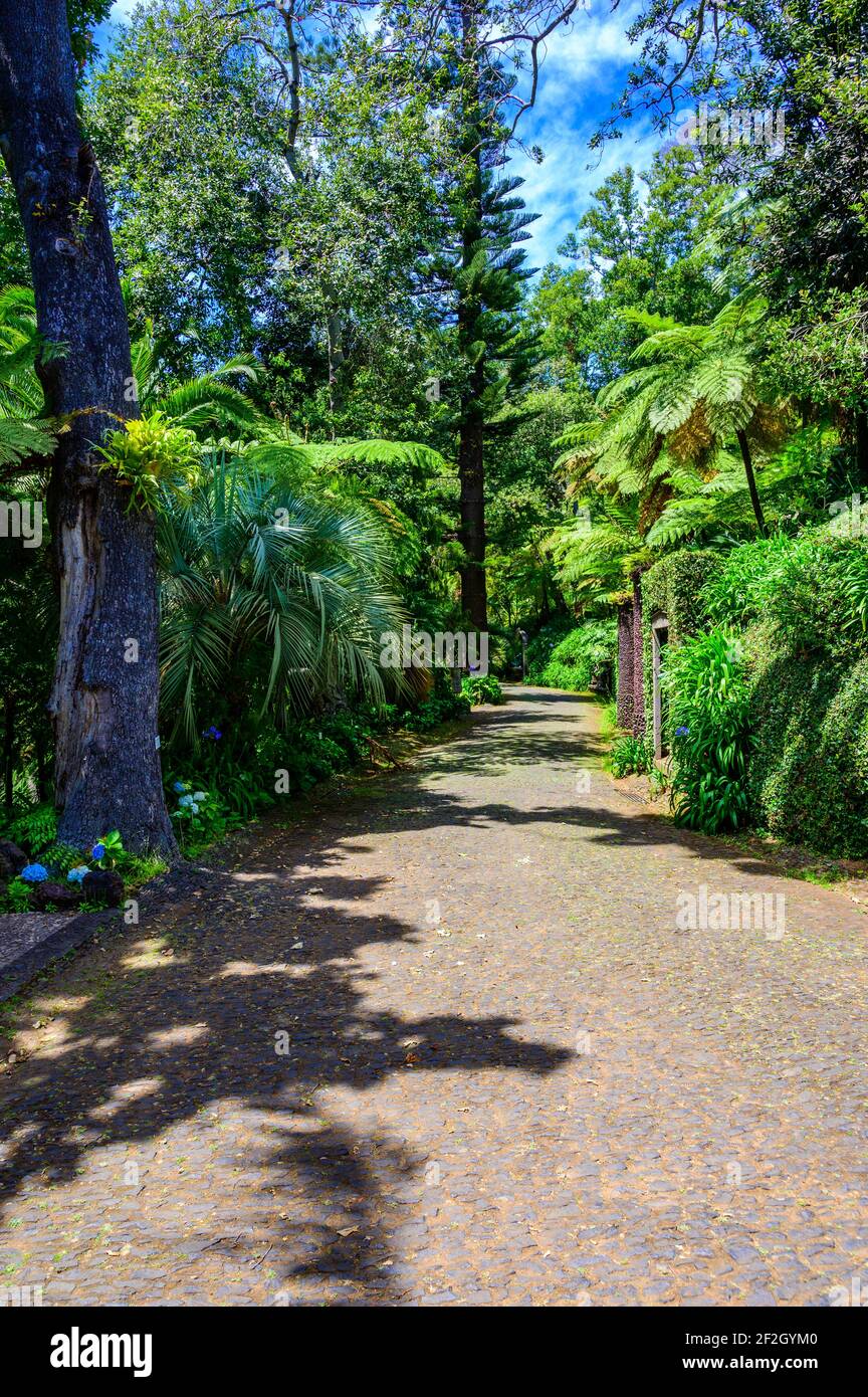 Monte Palace - Tropical Garden with Waterfalls, Lakes and traditional ...