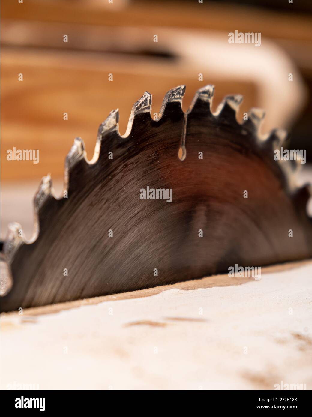 circular saw blade closeup, wood cutting Stock Photo - Alamy
