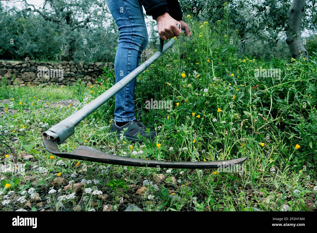 Farming Scythe High Resolution Stock Photography and Images - Alamy