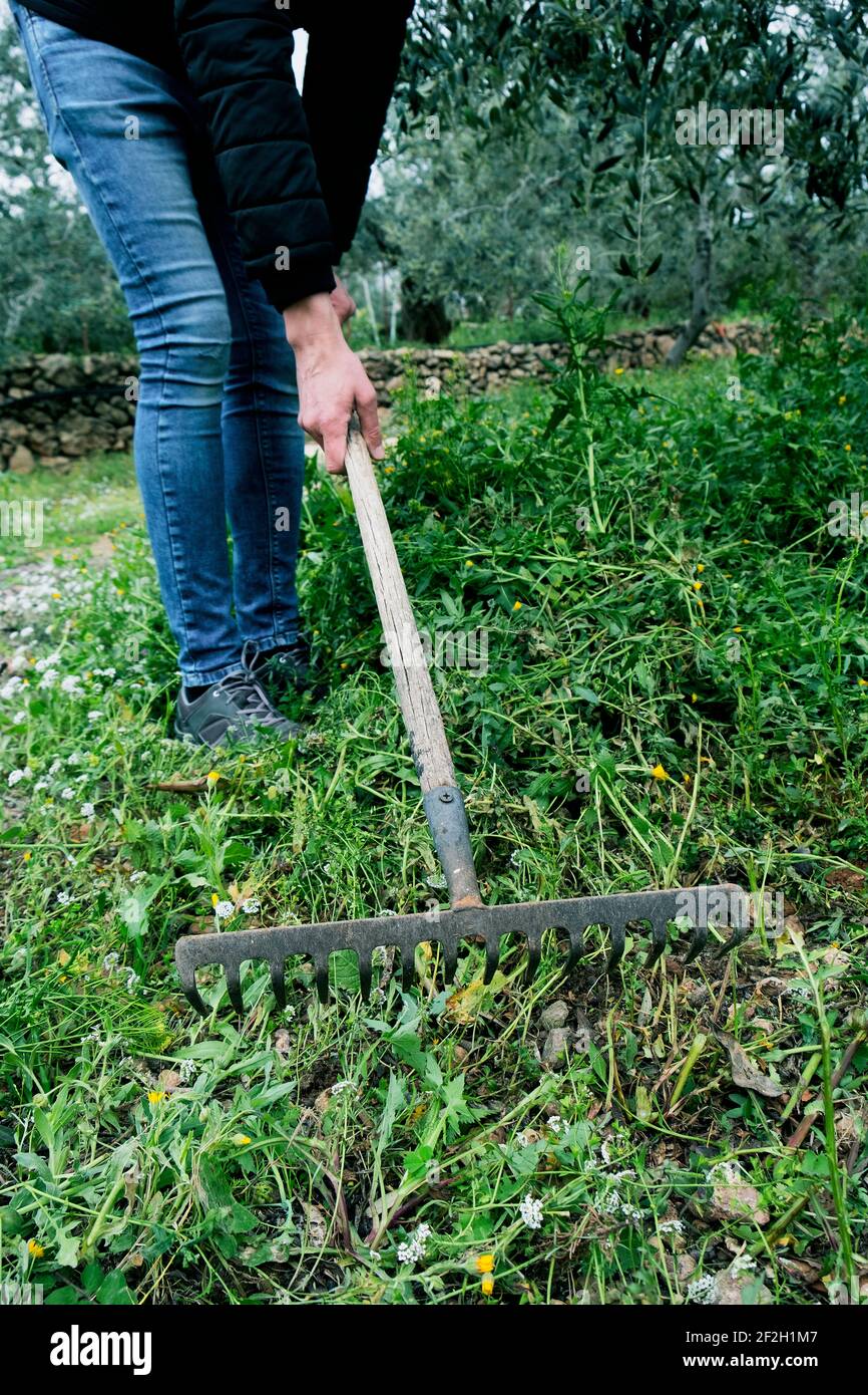 Hand rake hi-res stock photography and images - Alamy