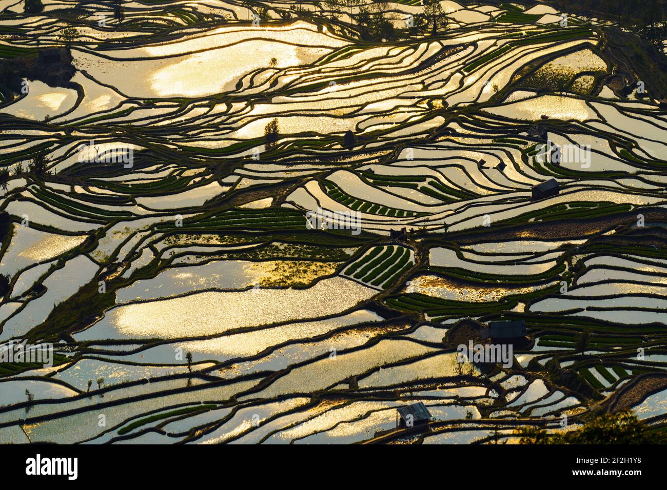 Travel all over china hi-res stock photography and images - Alamy