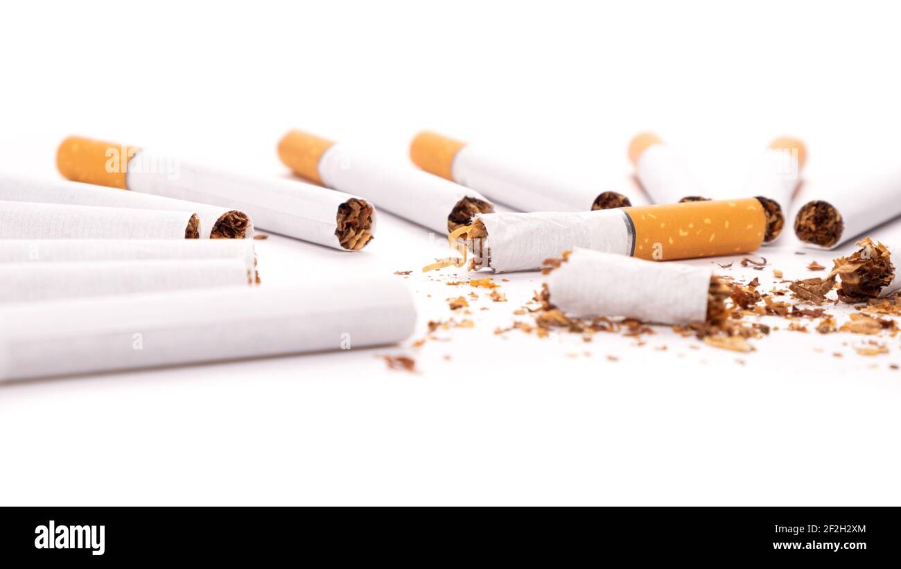 nicotine addiction,harm of smoking broken cigarette on white background ...