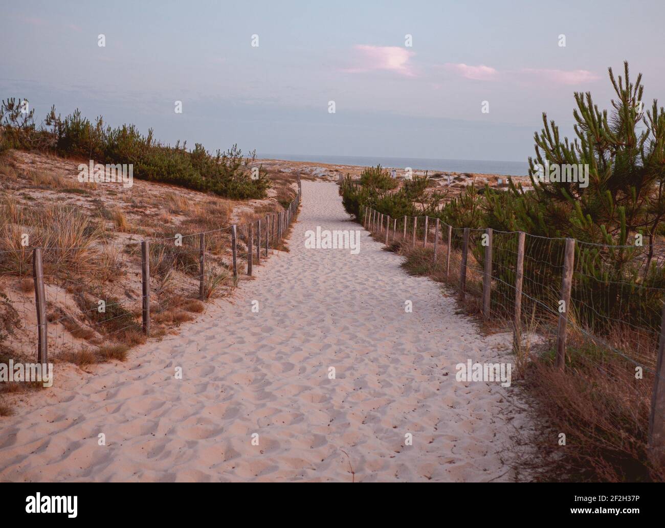 A sandy path leading to the beach under a clear sky Stock Photo - Alamy